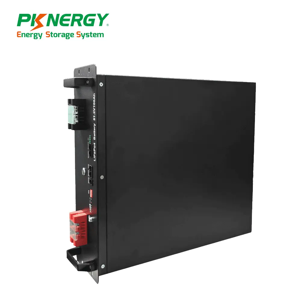 BUY 48V Server Rack Mounted Battery - PKNERGY