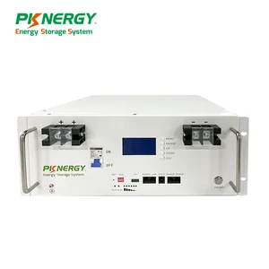 Wall-Mounted battery vs.Server Rack-Mounted Battery? - PKNERGY
