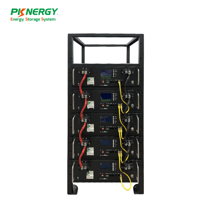 BUY 48V Server Rack Mounted Battery - PKNERGY