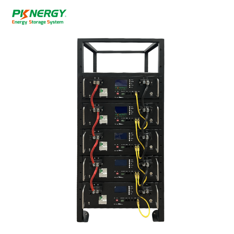 3U 100Ah Server Rack Battery - PKNERGY