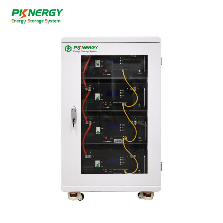 BUY 48V Server Rack Mounted Battery - PKNERGY