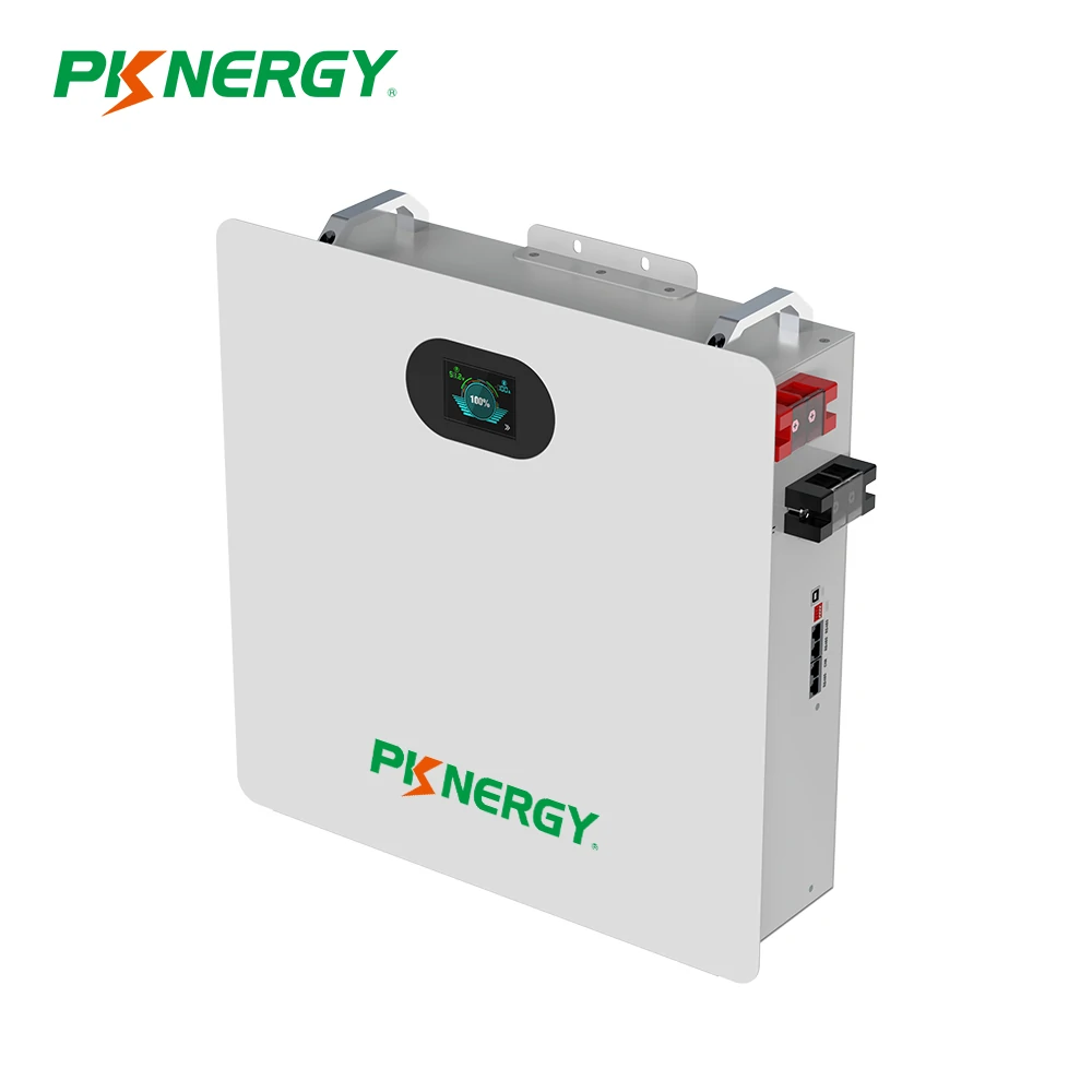 48V 300Ah 15 kwh Lithium ion Battery For Home - PKNERGY